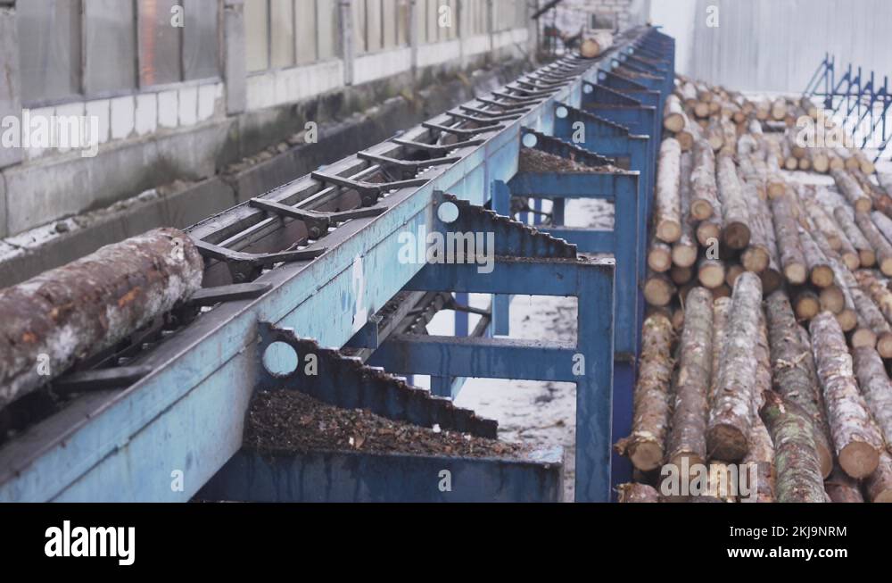 Sorting and processing Stock Videos & Footage - HD and 4K Video Clips ...