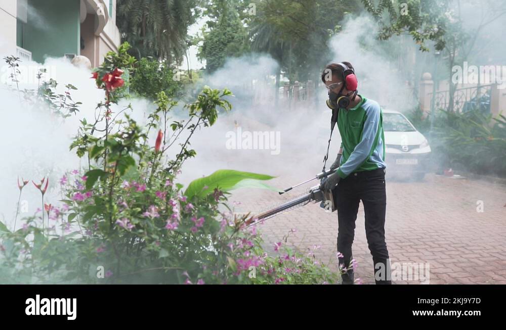 Man With A Hand-Carry Fogger Machine Fogging The Outdoor Garden Of A ...