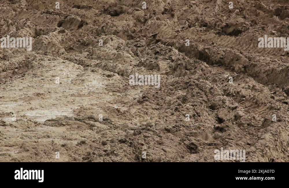 Puff mud Stock Videos & Footage - HD and 4K Video Clips - Alamy