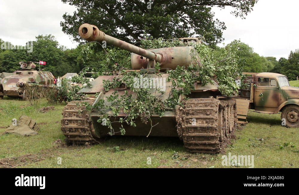Tree army Stock Videos & Footage - HD and 4K Video Clips - Alamy