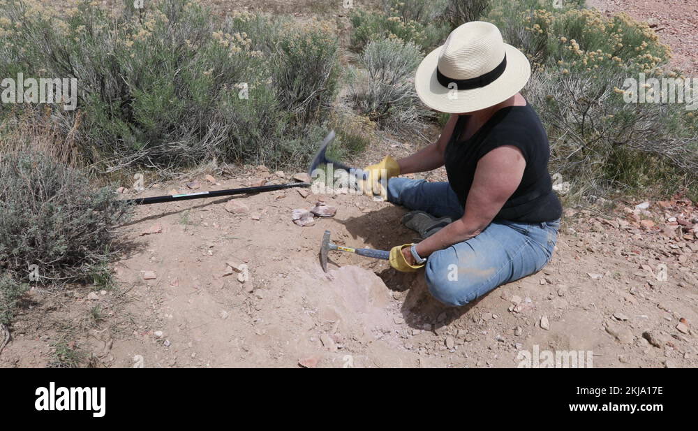 Prospecting minerals Stock Videos & Footage - HD and 4K Video Clips - Alamy