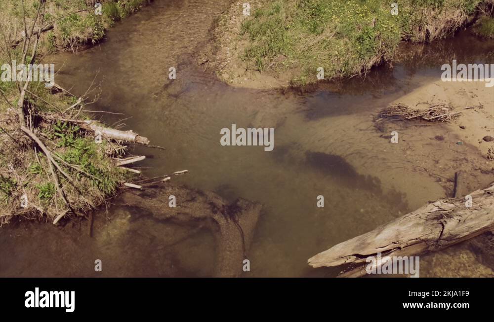 Shallow clear narrow water gently flows down stream by dead wooden log ...