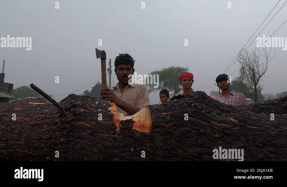 Crowd of villagers Stock Videos & Footage - HD and 4K Video Clips - Alamy