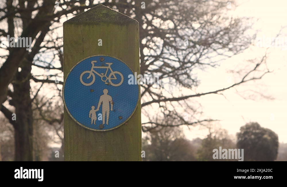 Pathway trees Stock Videos & Footage - HD and 4K Video Clips - Alamy