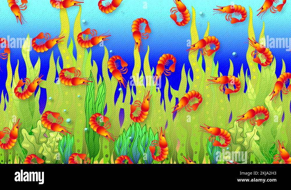 Shrimp watercolor Stock Videos & Footage - HD and 4K Video Clips - Alamy