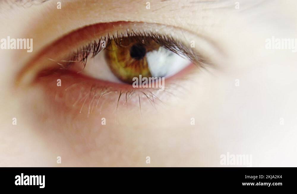 Anger and aggression Stock Videos & Footage - HD and 4K Video Clips - Alamy