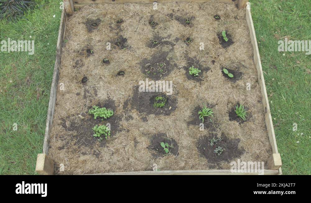 Garden bed view Stock Videos & Footage - HD and 4K Video Clips - Alamy