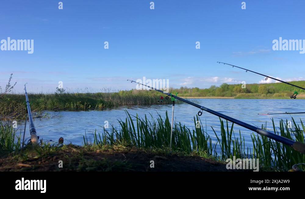 Lad lake Stock Videos & Footage - HD and 4K Video Clips - Alamy