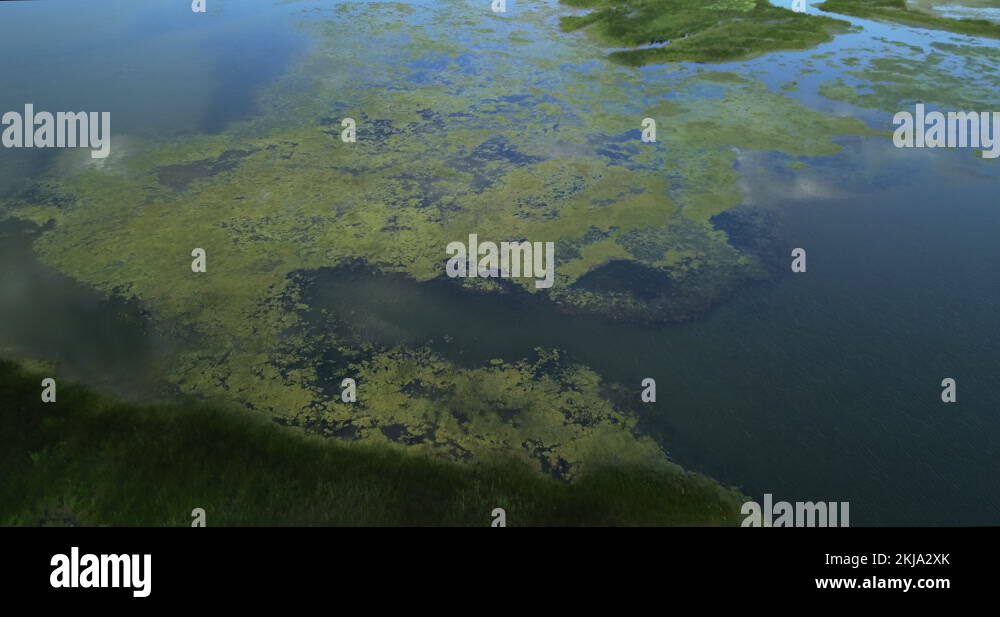 Covering water Stock Videos & Footage - HD and 4K Video Clips - Alamy