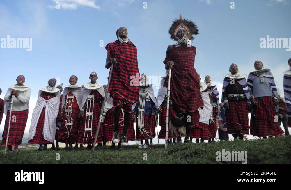 A group of villagers from the Maasai Massai Tribe dances and jumps high ...