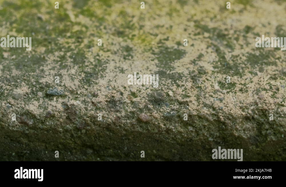Concrete floor texture in macro, smooth dolly shot Stock Video Footage ...