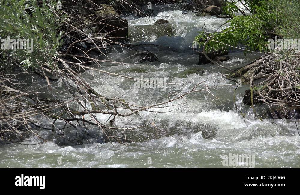 Muddy River in Flood, Flooding by Rain, Storm, Flooded, Calamity Stock ...