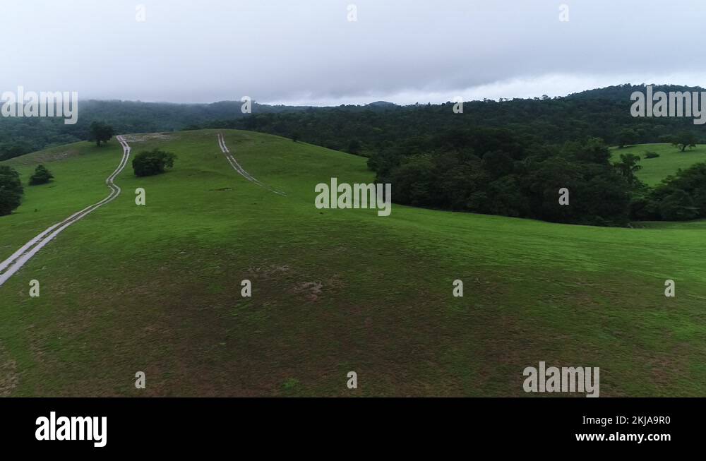 Field with forest spots Stock Videos & Footage - HD and 4K Video Clips ...