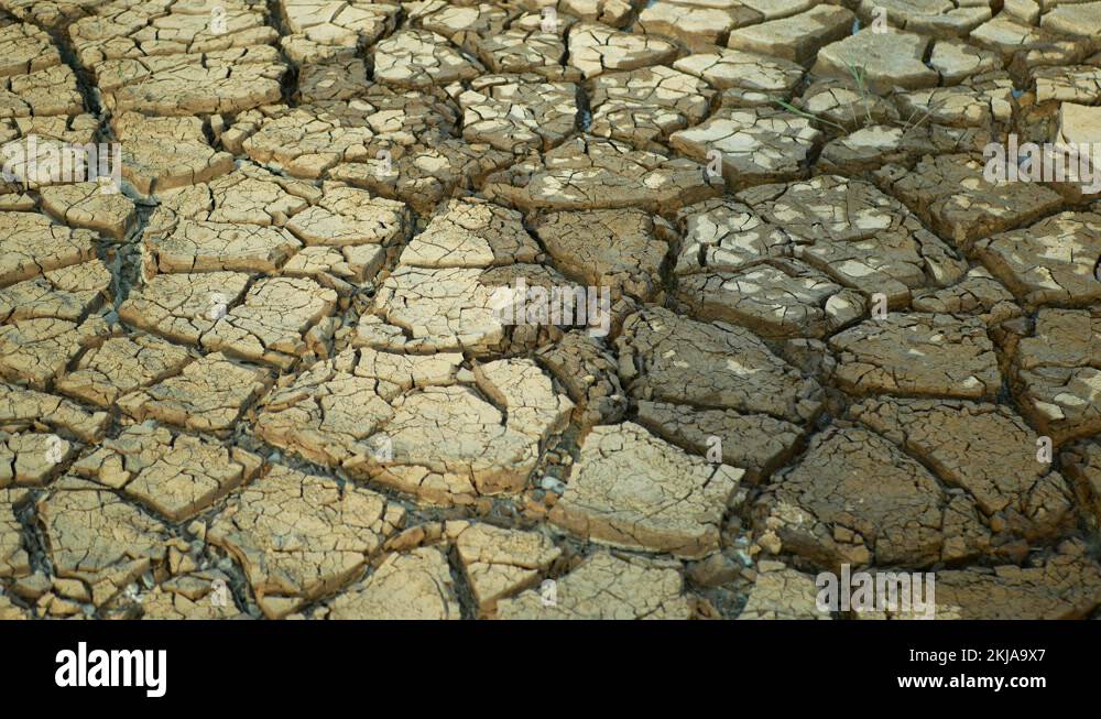 Drought cracked pond wetland, swamp very drying up the soil crust earth ...