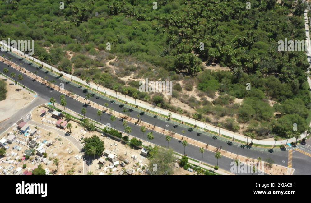 SAN JOSE DEL CABO MEXICO-2020: Nice Top View of A Greenery Number Of ...