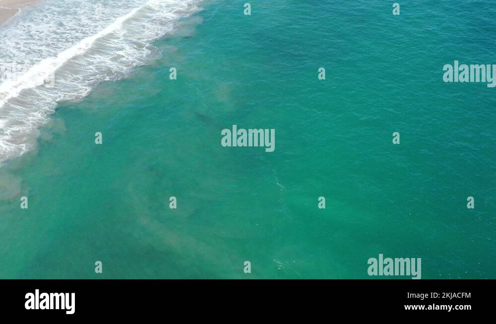 SAN JOSE DEL CABO MEXICO-2020: The Ocean Is Very Big And Full Of Blue ...