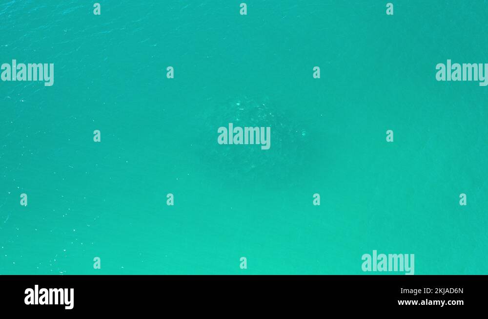 Grace teal Stock Videos & Footage - HD and 4K Video Clips - Alamy