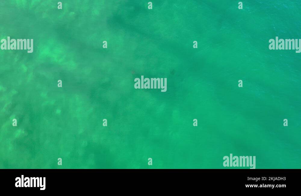 LOS CABOS MEXICO-2020: Beautiful Layout Of Colors Of Aqua Blue Teal Of ...