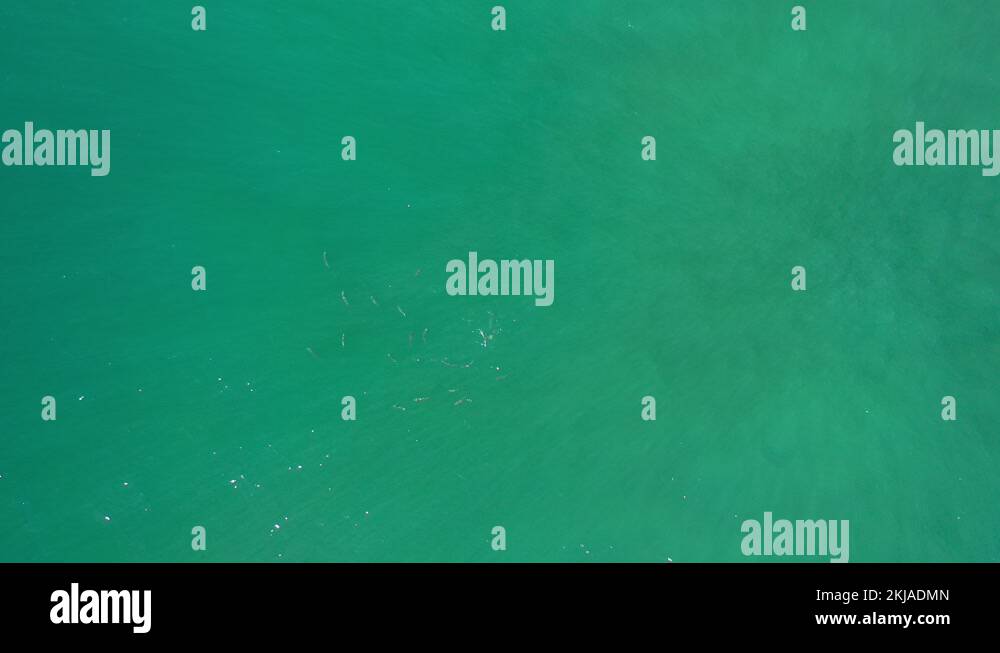 LOS CABOS MEXICO-2020: Beautiful Layout Of Colors Of Aqua Blue Teal ...