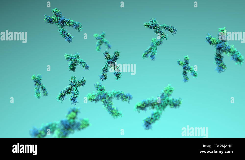 Chromatin Microscope Stock Videos And Footage Hd And 4k Video Clips Alamy