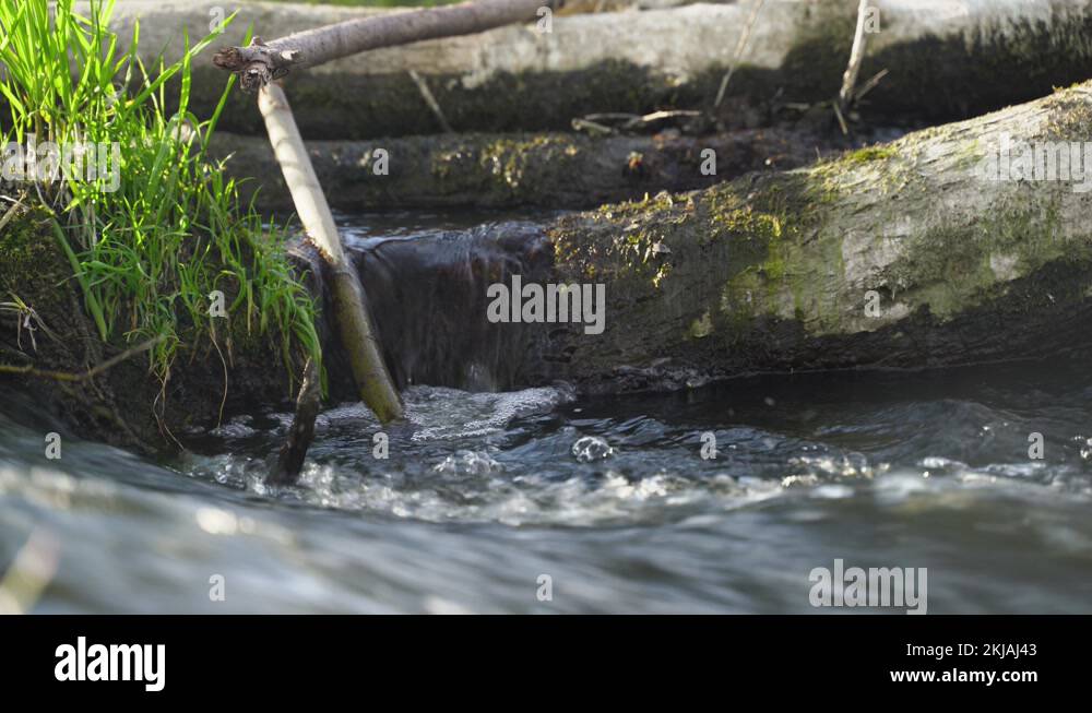 Dam and blockage in the river. River flows through a dam of trees in ...