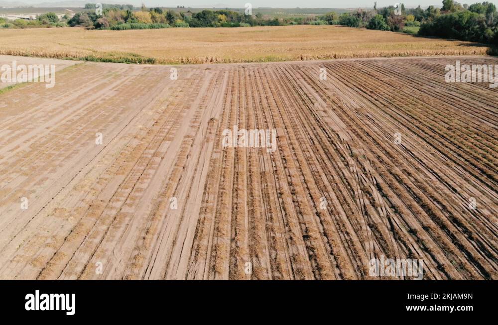 Crops problems Stock Videos & Footage - HD and 4K Video Clips - Alamy