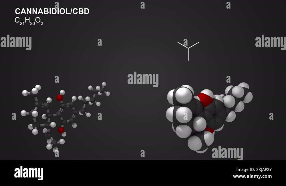 Animated models Stock Videos & Footage - HD and 4K Video Clips - Alamy