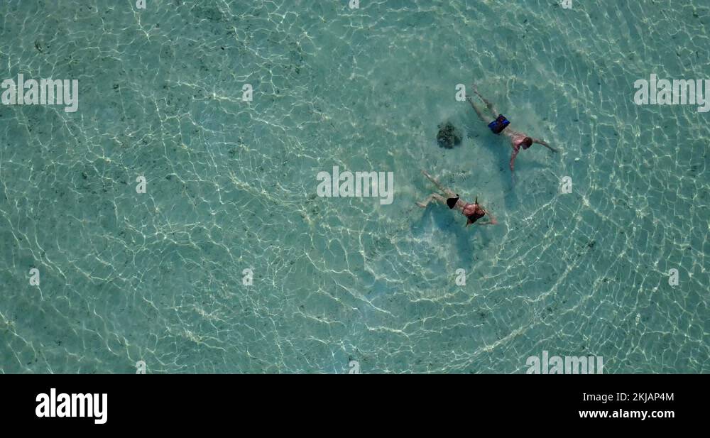 Woman swimming, birds eye view Stock Videos & Footage - HD and 4K Video ...