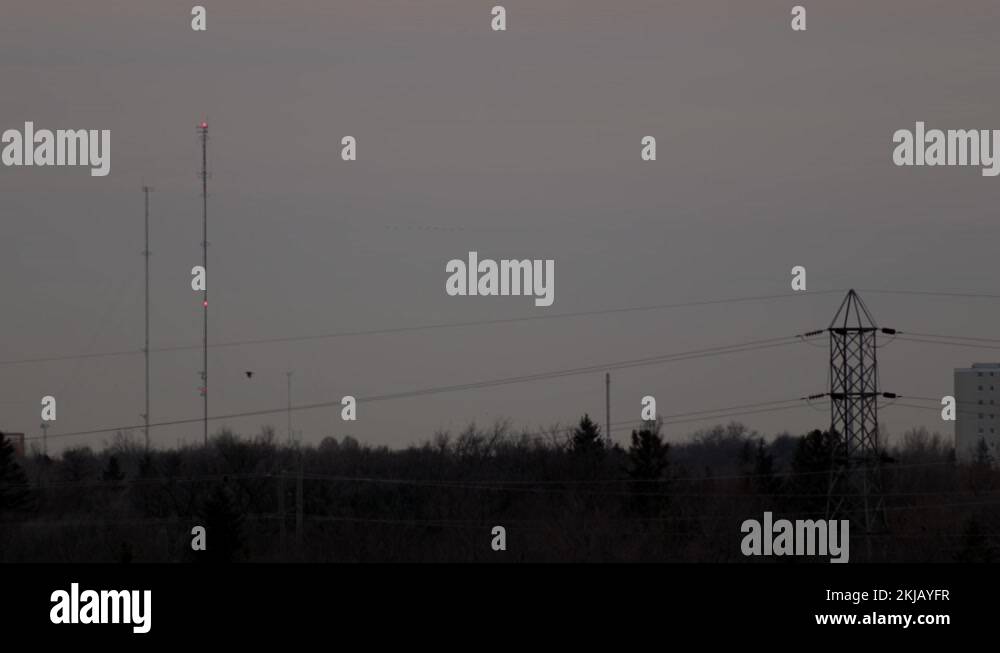 Telephone lines silhouette Stock Videos & Footage - HD and 4K Video ...