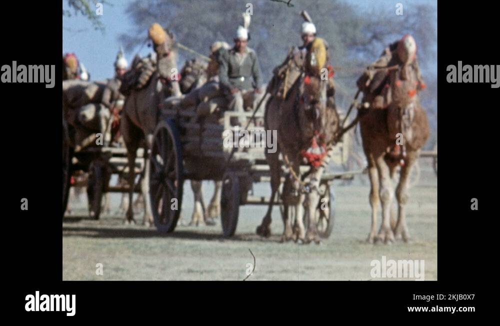 Pakistan military camel Stock Videos & Footage - HD and 4K Video Clips ...