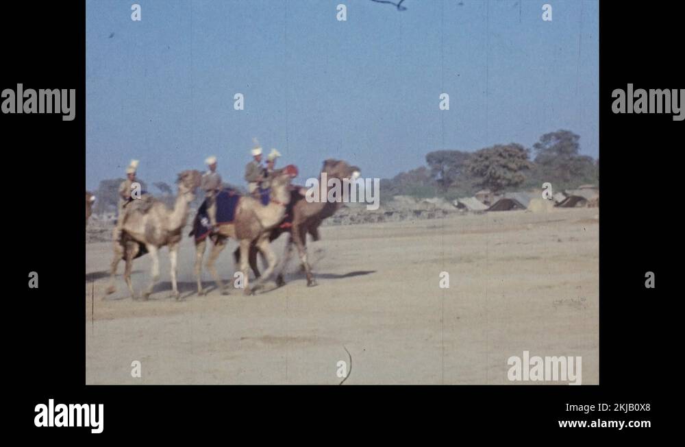Camel cavalry Stock Videos & Footage - HD and 4K Video Clips - Alamy