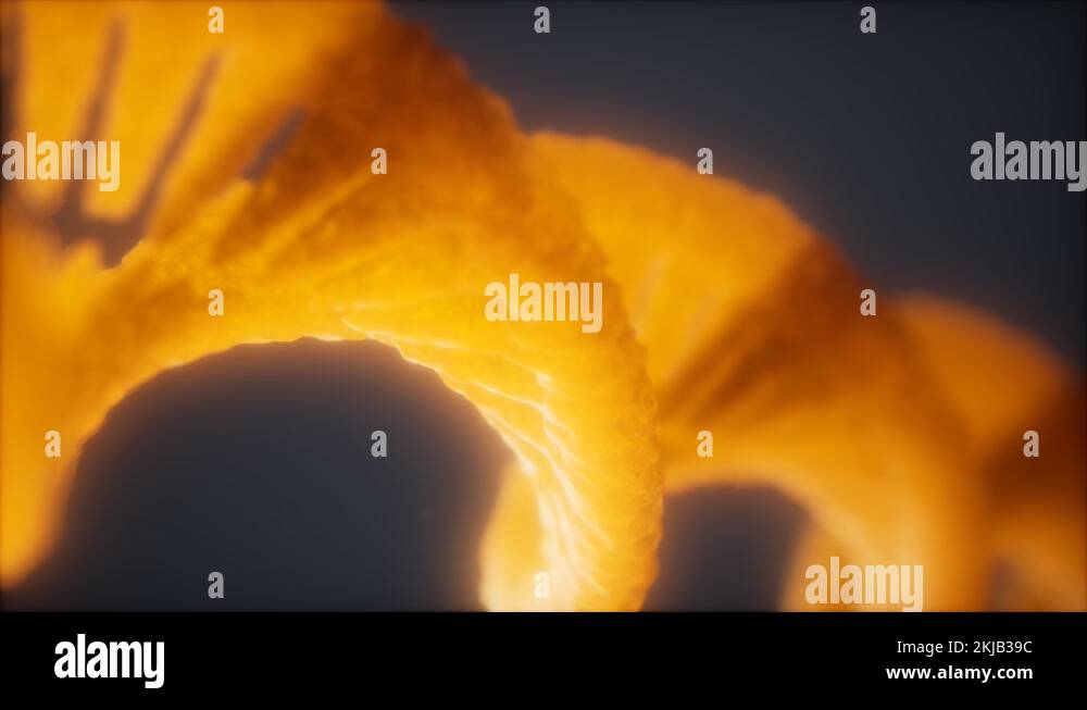loopable structure of the DNA double helix animation Stock Video ...