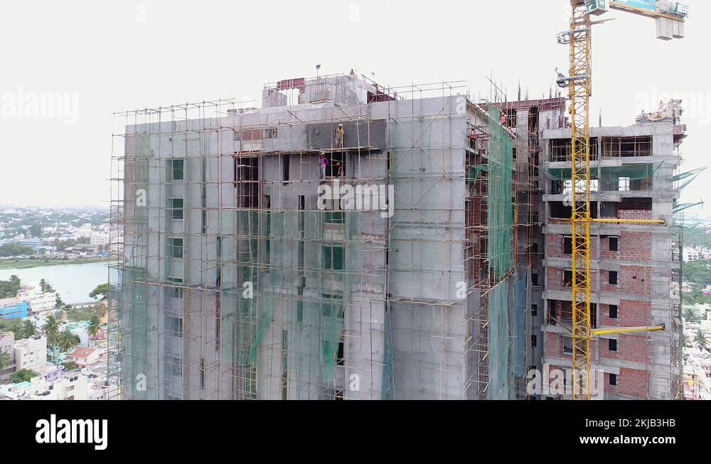 Crane fly wall Stock Videos & Footage - HD and 4K Video Clips - Alamy