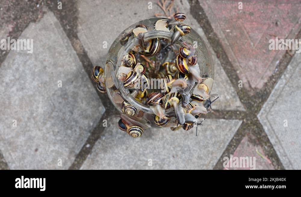 Bank clip art Stock Videos & Footage - HD and 4K Video Clips - Alamy