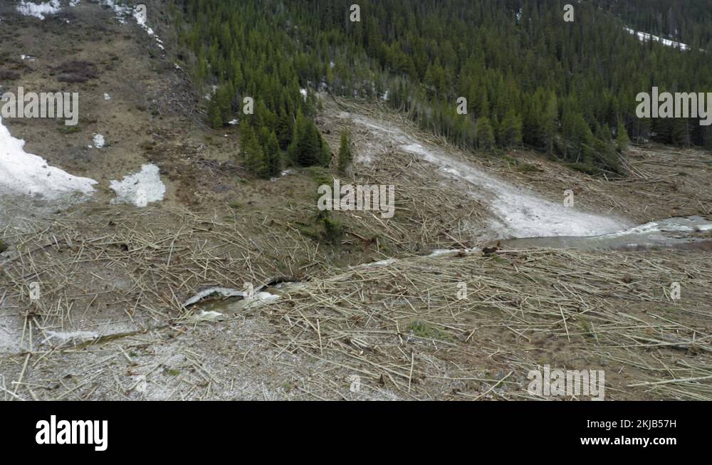 Flattened trees Stock Videos & Footage - HD and 4K Video Clips - Alamy