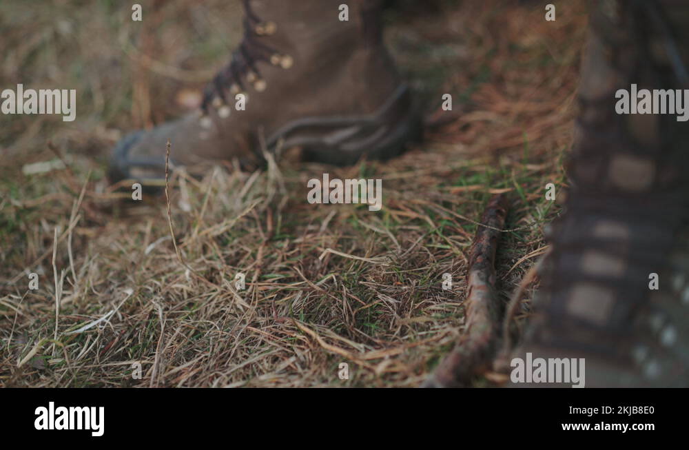 Blade of straw Stock Videos & Footage - HD and 4K Video Clips - Alamy