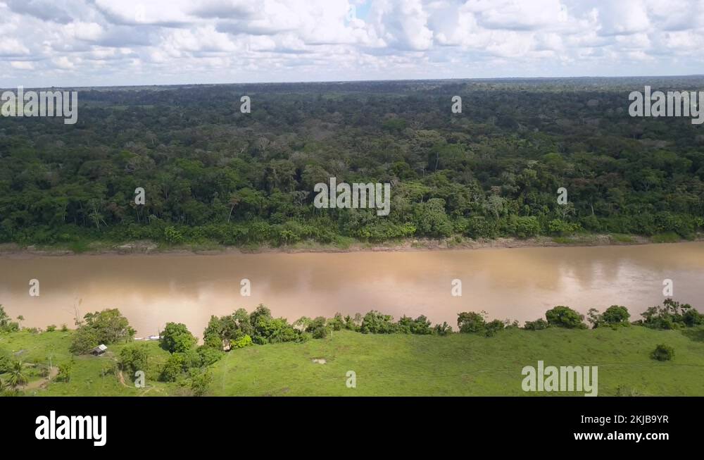 Amazon rainforest landscape Stock Videos & Footage - HD and 4K Video ...