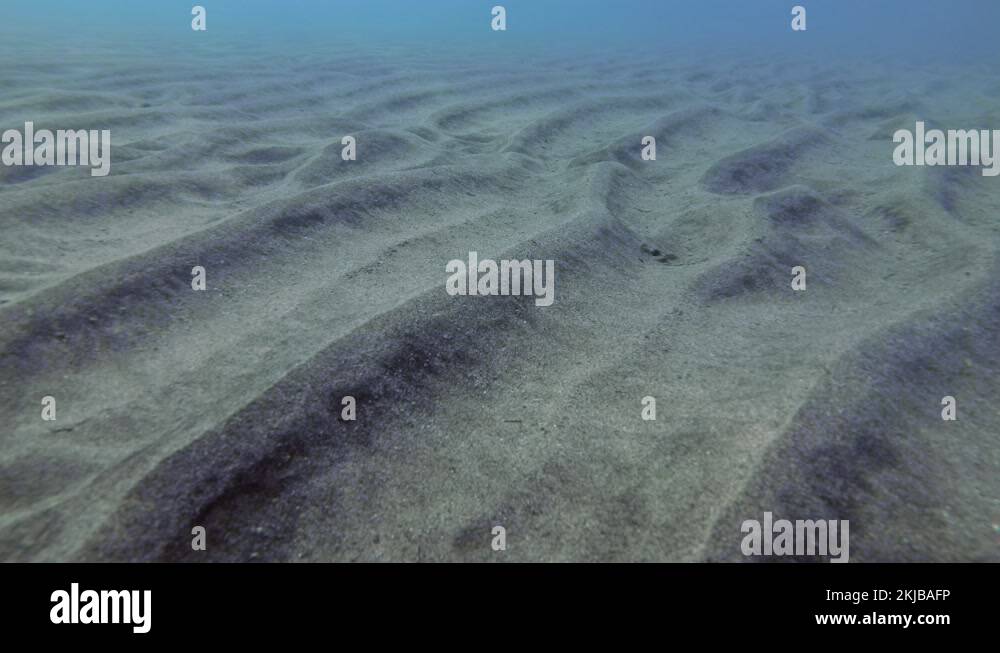 Movement of sand at the sea bottom in the surf zone. A waves in the ...