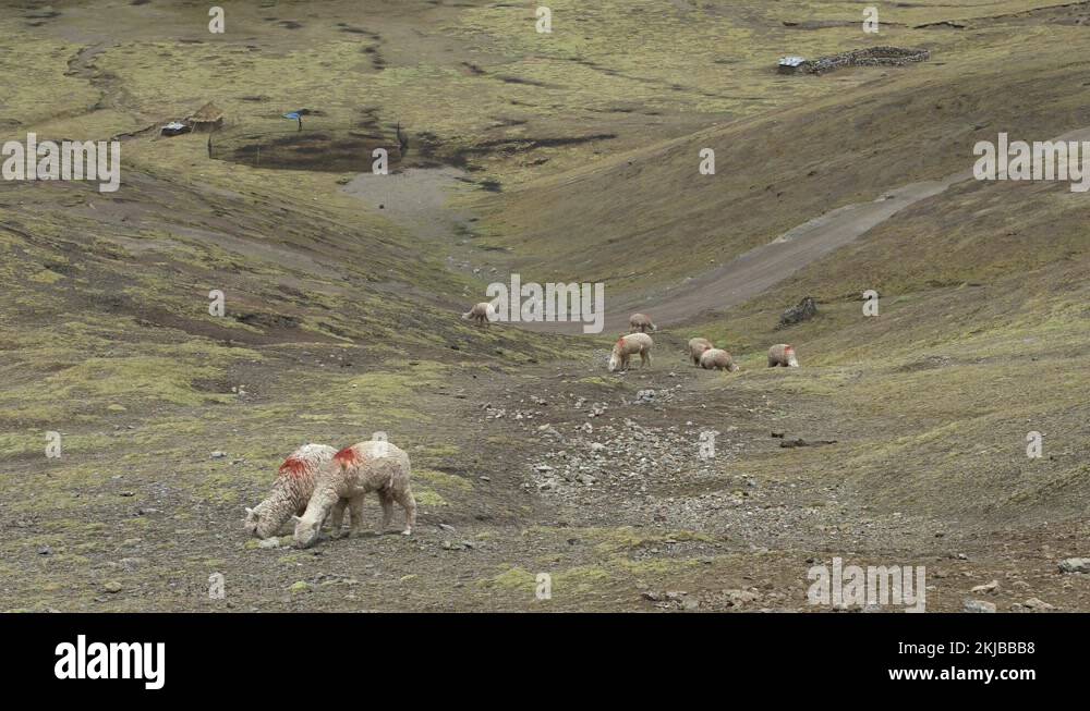 Rainbowmountains Stock Videos & Footage - HD and 4K Video Clips - Alamy