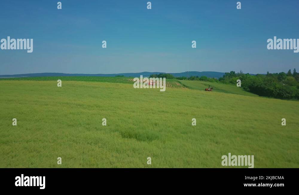 Thow Stock Videos & Footage - HD and 4K Video Clips - Alamy