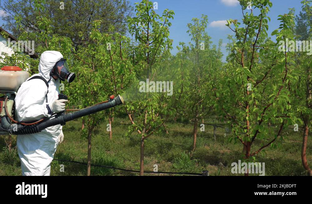 Herbicide people mask Stock Videos & Footage - HD and 4K Video Clips ...