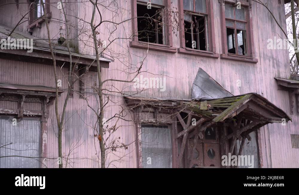 Broken house tree branches Stock Videos & Footage - HD and 4K Video ...