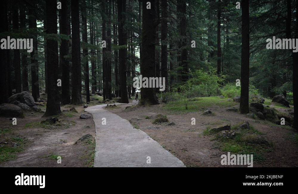 Manali nature park Stock Videos & Footage - HD and 4K Video Clips - Alamy