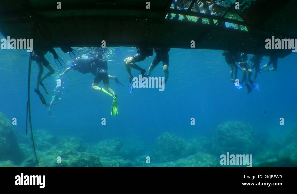 Diving training: a group of student divers beside the edge of floating ...