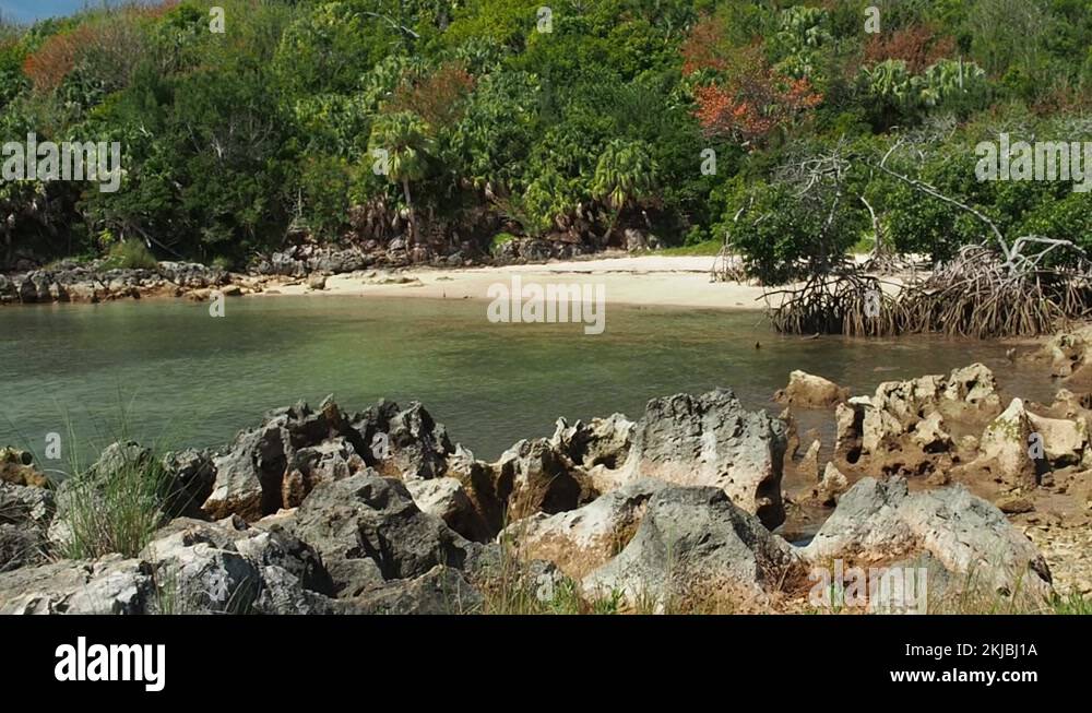 Bermuda park Stock Videos & Footage - HD and 4K Video Clips - Alamy