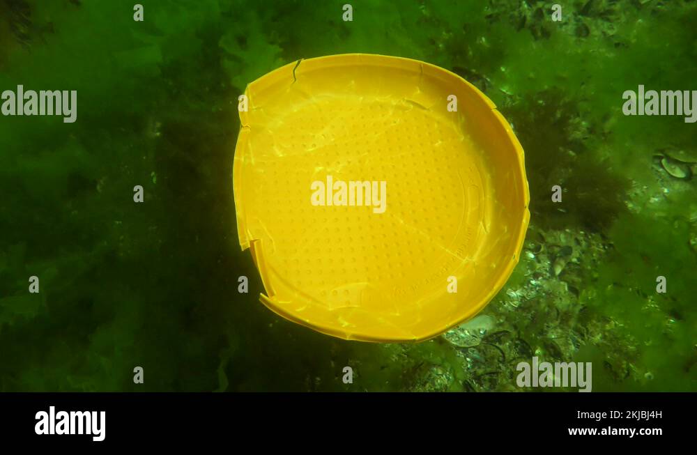 Plastic pollution: a plastic disposable plate slowly sinks to the ...