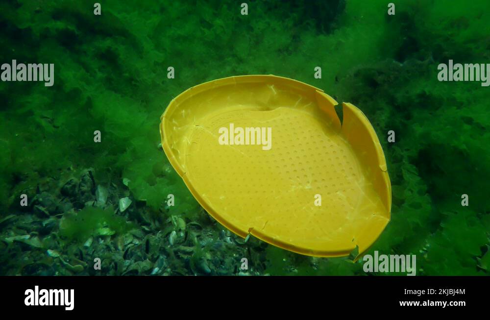 Plastic pollution of the ocean: a plastic disposable plate slowly sinks ...