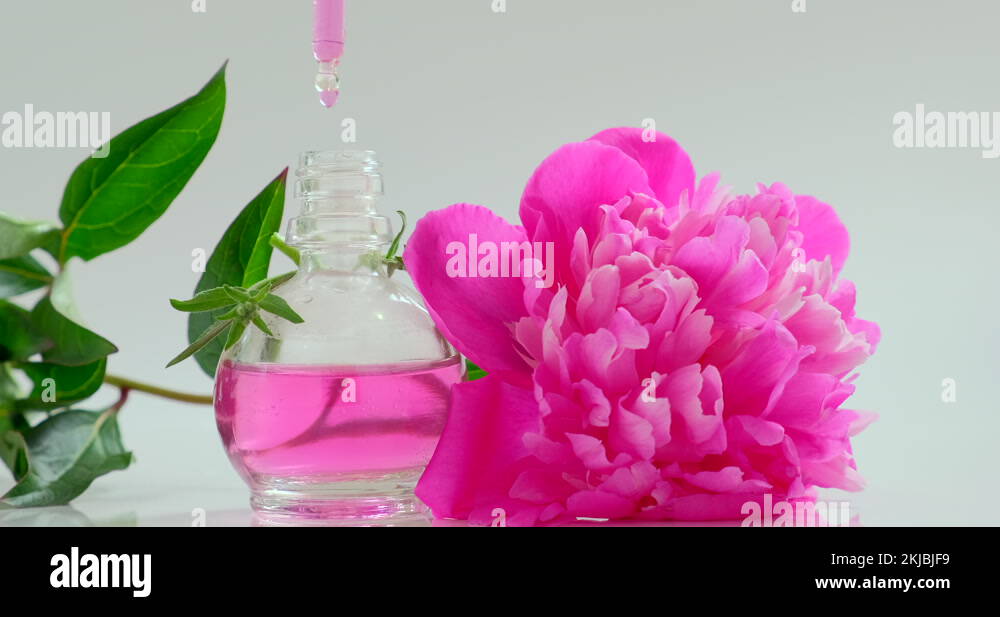 Peony oil Stock Videos & Footage - HD and 4K Video Clips - Alamy