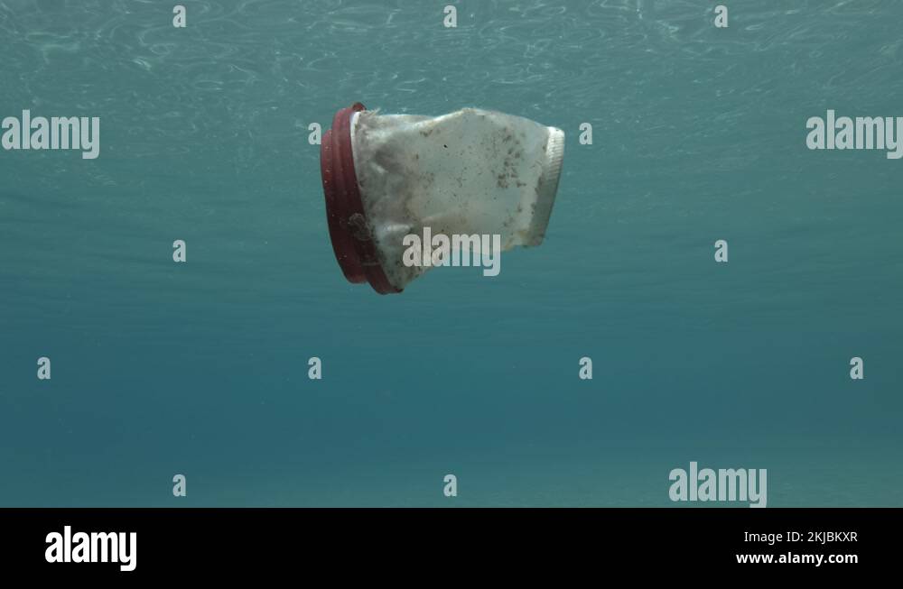 Plastic pollution, A white plastic cup with a red lid floats beneath a ...