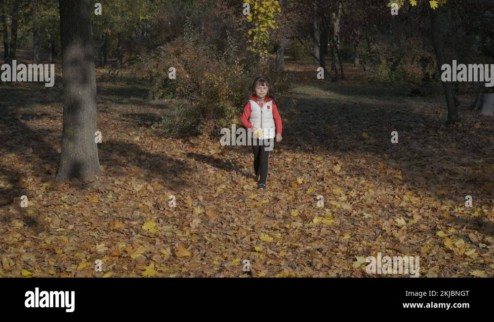 Go for a walk in a promenade Stock Videos & Footage - HD and 4K Video ...